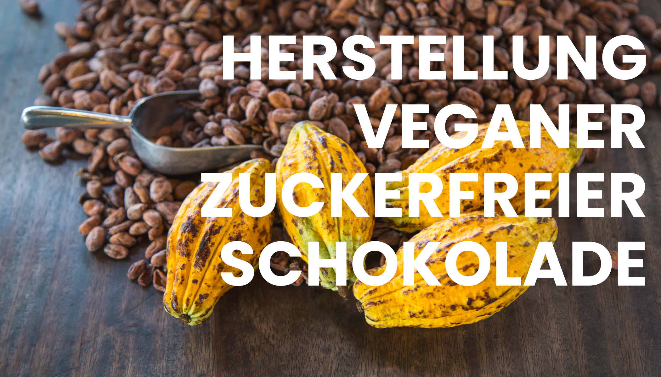 Wie zuckerfreie, vegane Schokolade hergestellt wird – BellyLove.eu